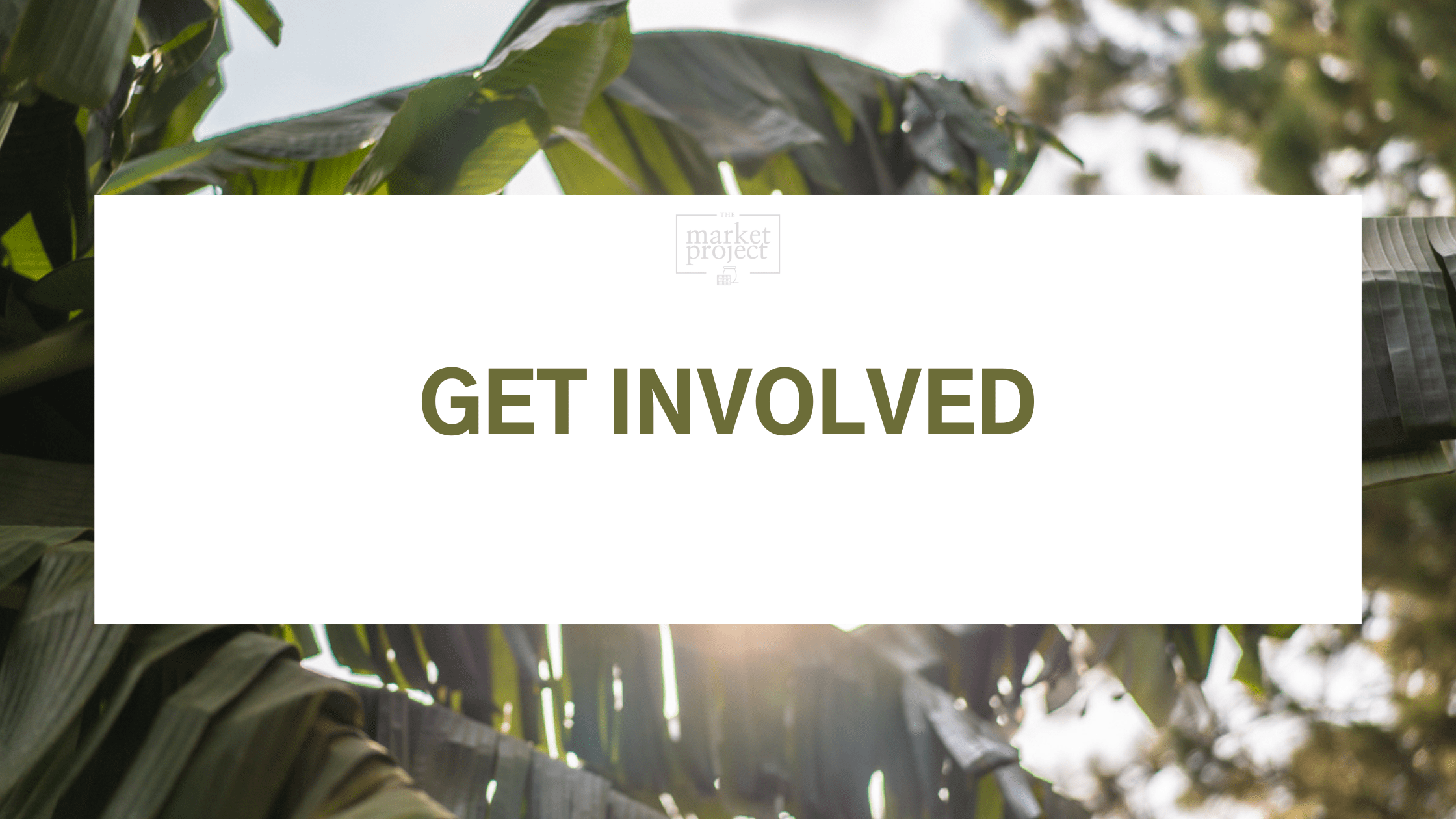 Get Involved - The Market Project